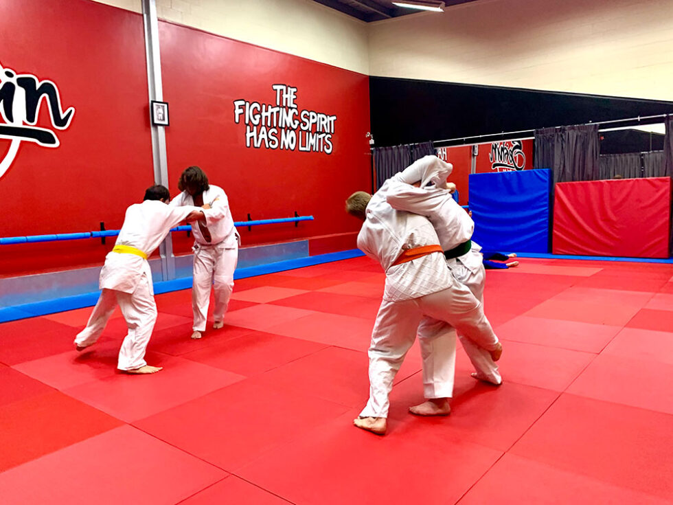 seishinmartialarts.com.au | seishinmartialarts.com.au